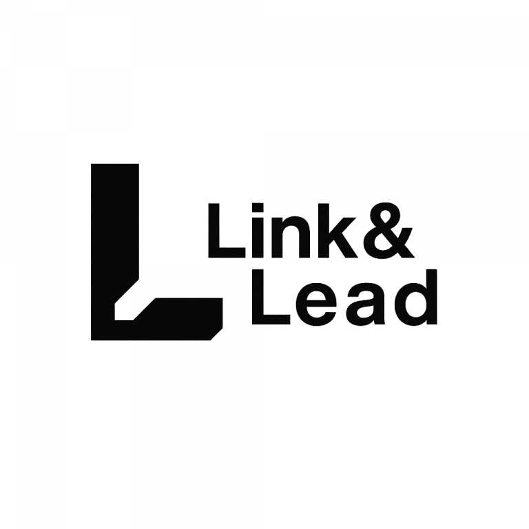 Link & Lead – Cyber, Defense & Aerospace Consulting